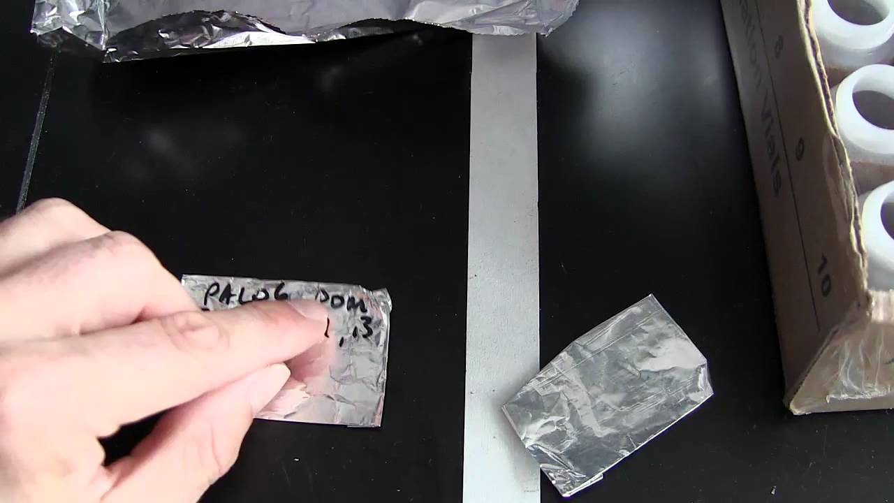 How to Label Samples - YouTube