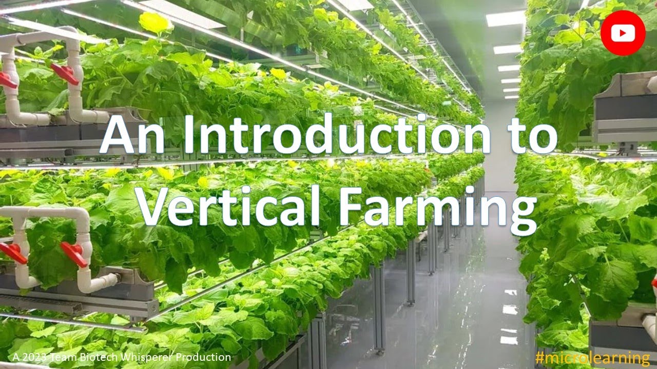 Introduction to Vertical Farming - A Sustainable Food Production Method ...