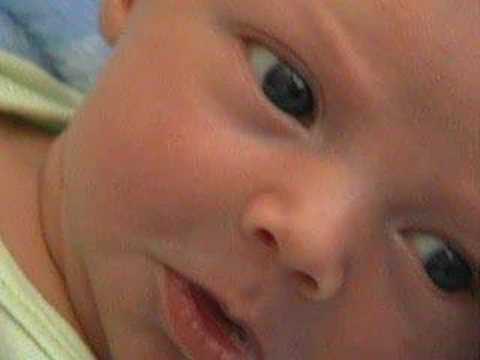 Cameron Elliott Wolf - YouTube