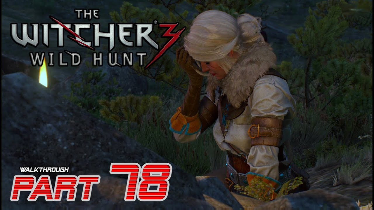 The Witcher 3 Wild Hunt Walkthrough Gameplay Part 78 HD "Avallac ...