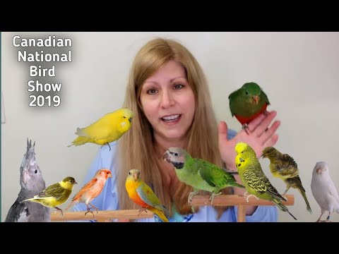 60th Annual Canadian National Cage Bird Show and Expo 2019 | Come see ...