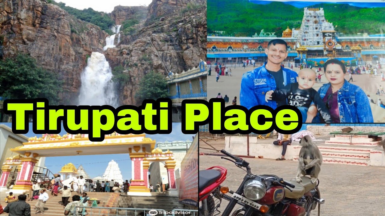 Padmavati Ammavari Temple Tirupati Shri Padmavati ammavari Temple ...