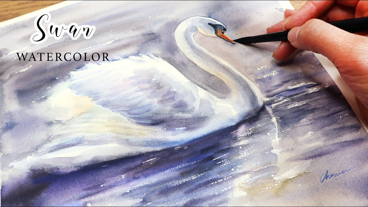 How To Paint A Swan In Watercolor Tutorial - YouTube