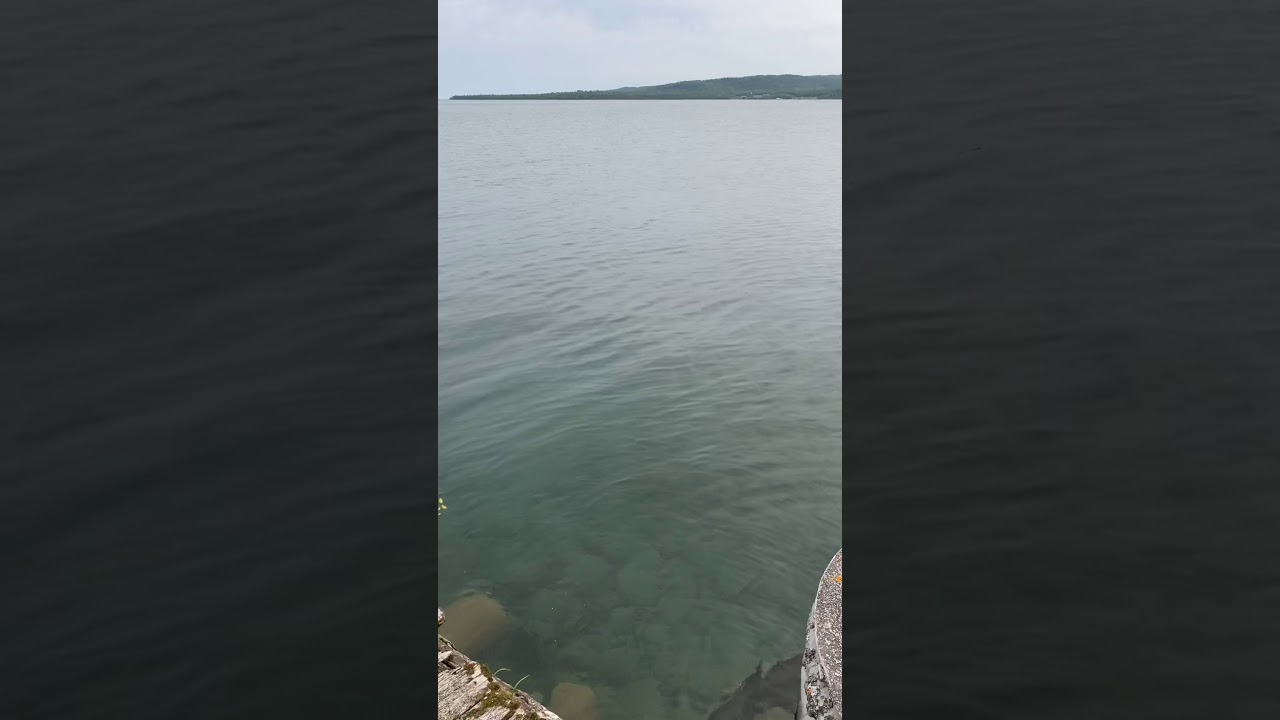 Elijah and his fish - YouTube