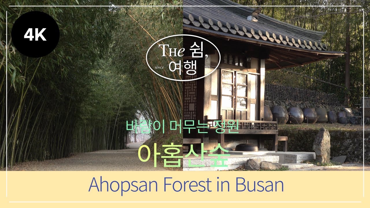[4K] 바람이 머무는 정원, 아홉산숲 Busan Ahopsan Forest - YouTube