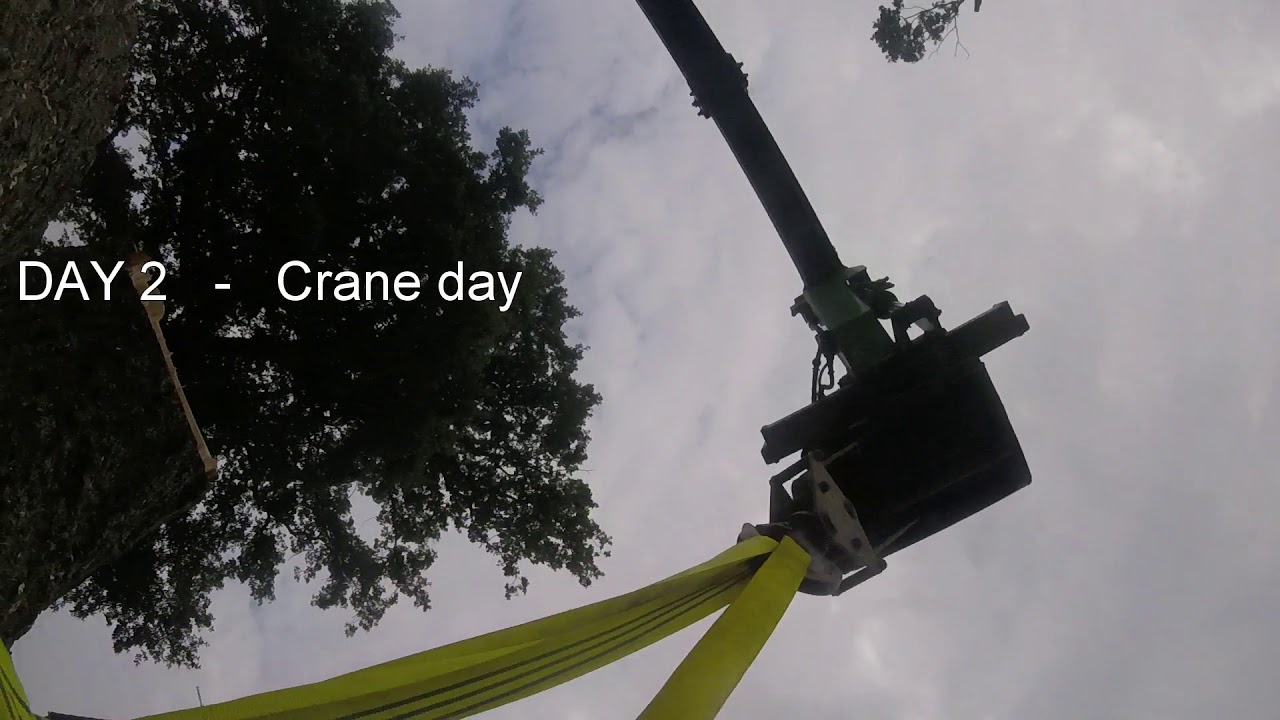 arborist Oak tree removal using crane + rigging - YouTube