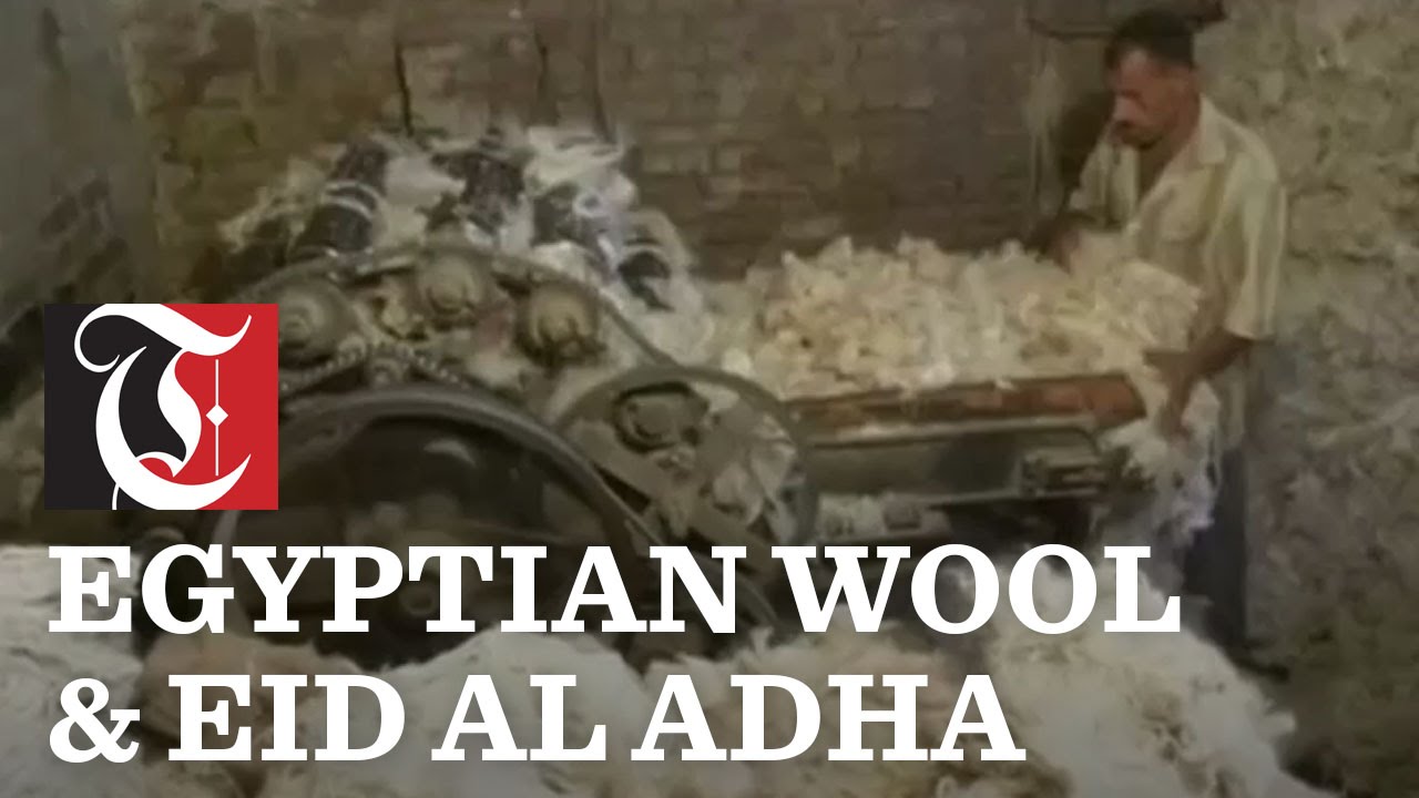 Egyptian Wool - YouTube