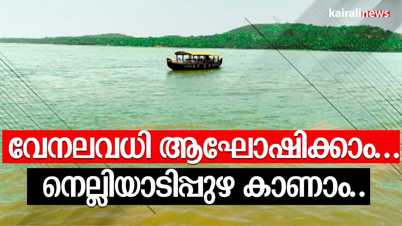 വേനലവധി ആഘോഷിക്കാം... നെല്ലിയാടിപ്പുഴ കാണാം.. | Nelliya Driver - YouTube