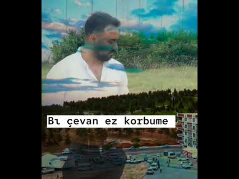 Mirhat Alasor  Evina te
