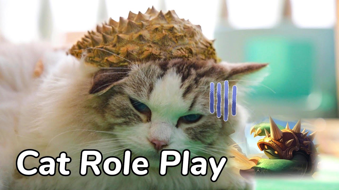 戴上這頂榴槤盔甲，本喵就是披甲龍龜。---Wearing this durian armor, I am an armored dragon ...