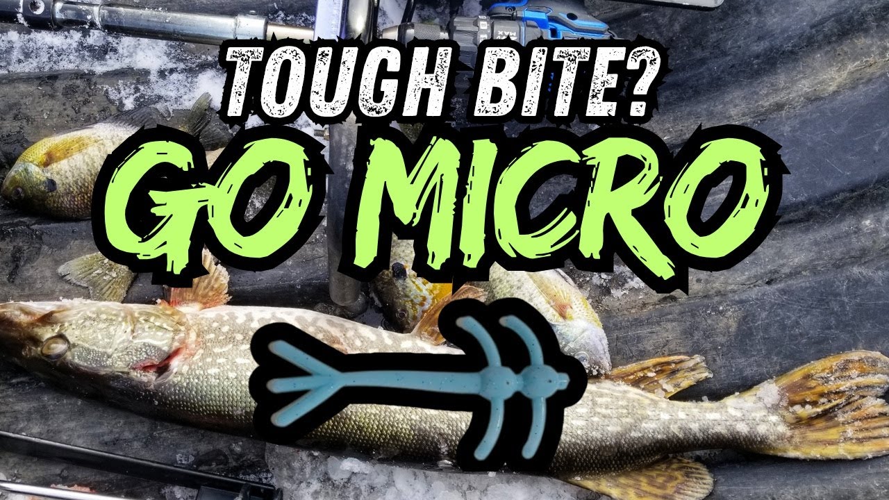 Ice Fishing Bluegills - Use Micro Baits For A Tough Bite - YouTube