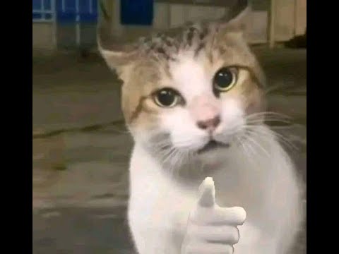 AJDFSKD EC EC EC EC !! - YouTube