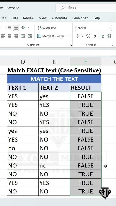 Match EXACT text (Case Sensitive Text) in Excel - YouTube