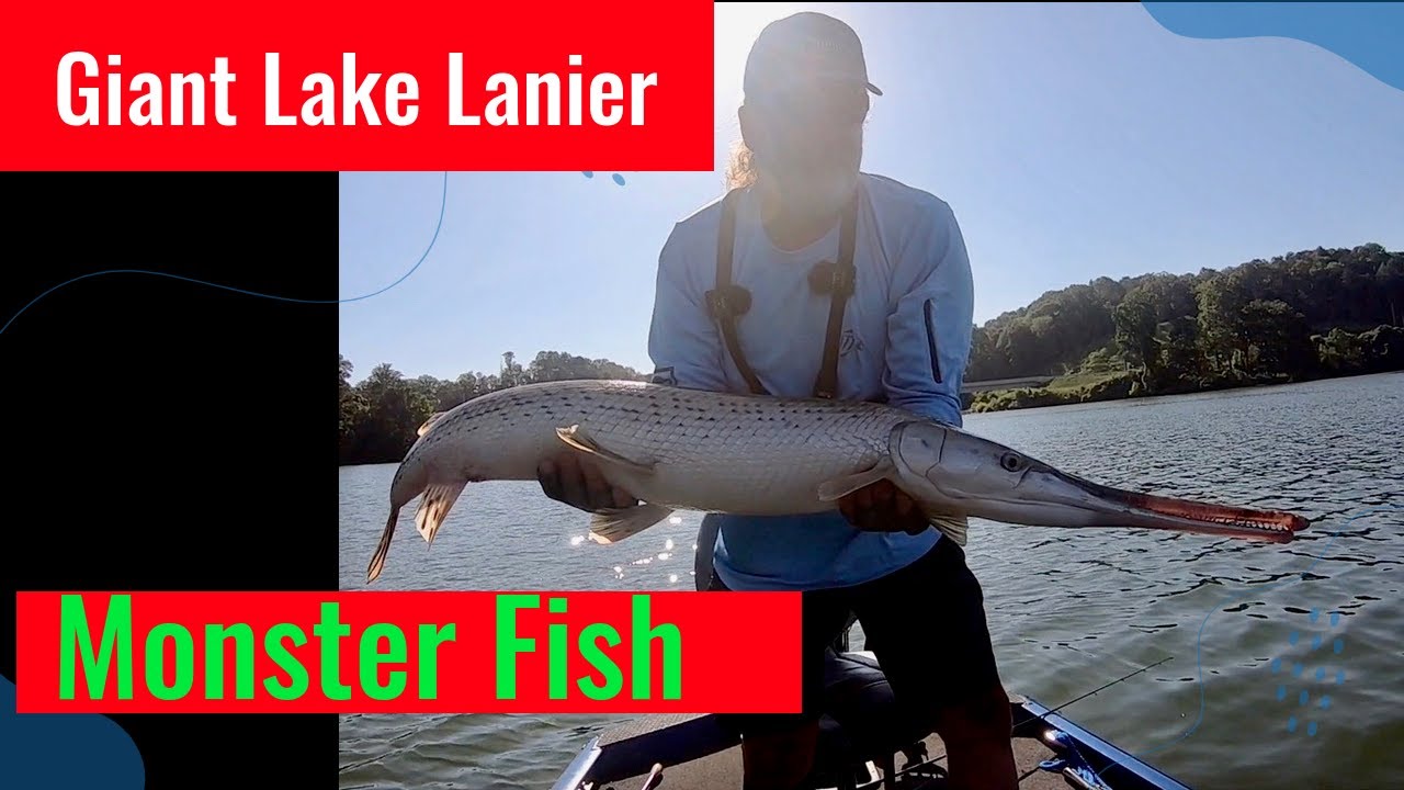 Giant Lake Lanier Monster Fish - YouTube