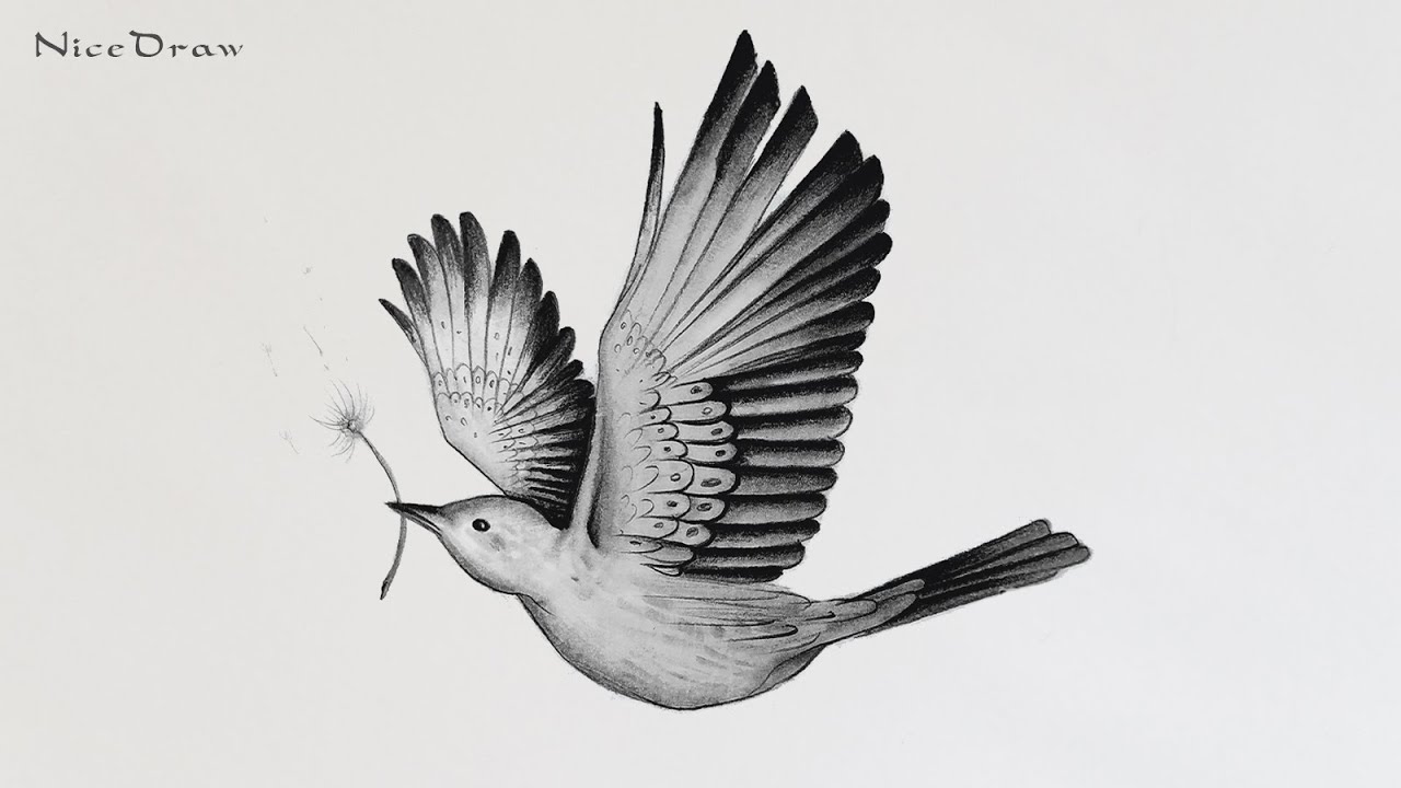 How To Draw A Bird FLYING In The Sky Step-BY-Step For Beginners - YouTube