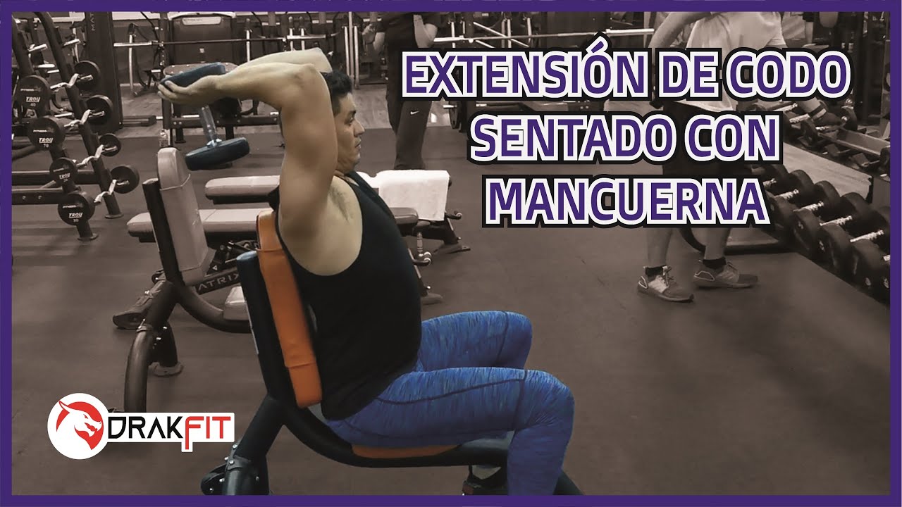 EXTENSIÓN DE CODO SENTADO CON MANCUERNA EN COPA - YouTube