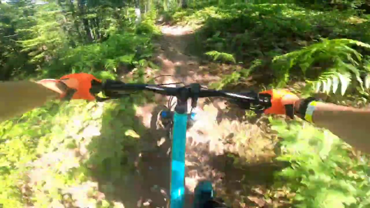 Copper Harbor MTB - Best trails in the Midwest - YouTube