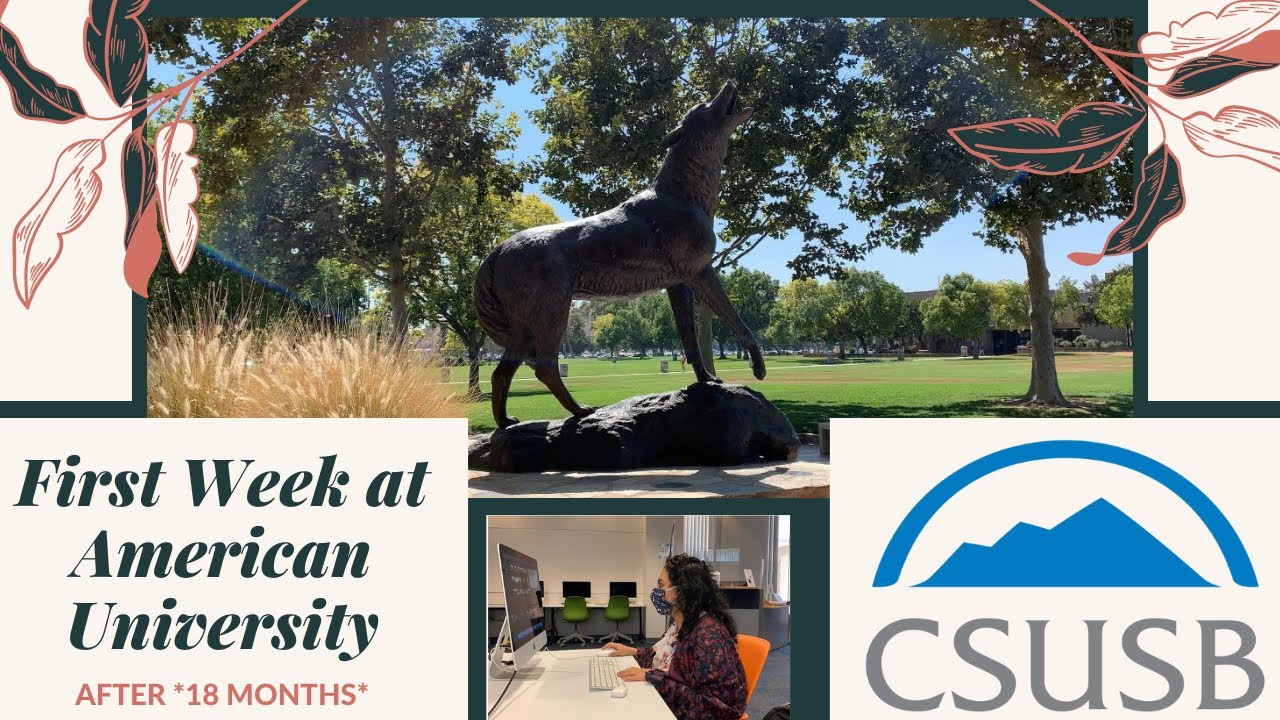 First week at American University after *18 months* #CSUSB #studyinusa ...