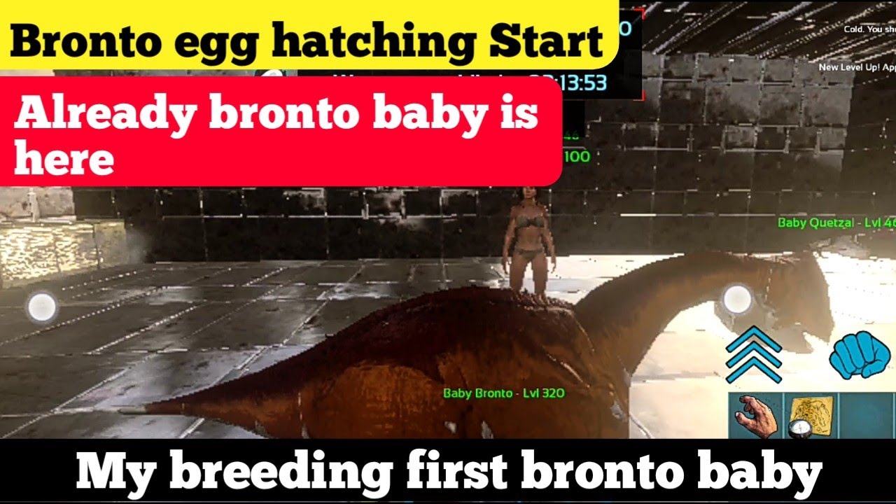 How To Breed Bronto In Ark Mobile | My Op Bronto baby | Indian Gamer ...