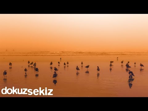 Cihan Mürtezaoğlu - Saf Kuşlar (Lyric Video)