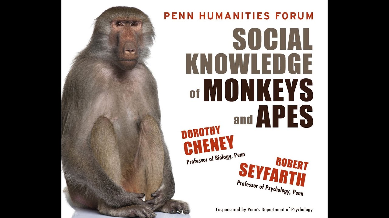 Dorothy Cheney, Robert Seyfarth • The Social Knowledge of Monkeys and ...