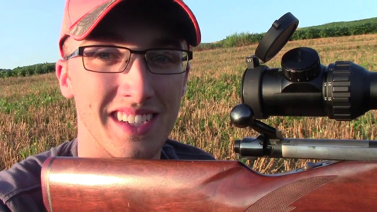 Long Range Ground Hog Hunting - 2017 - YouTube