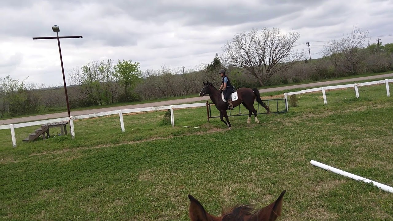 Heidi March 2019 - YouTube