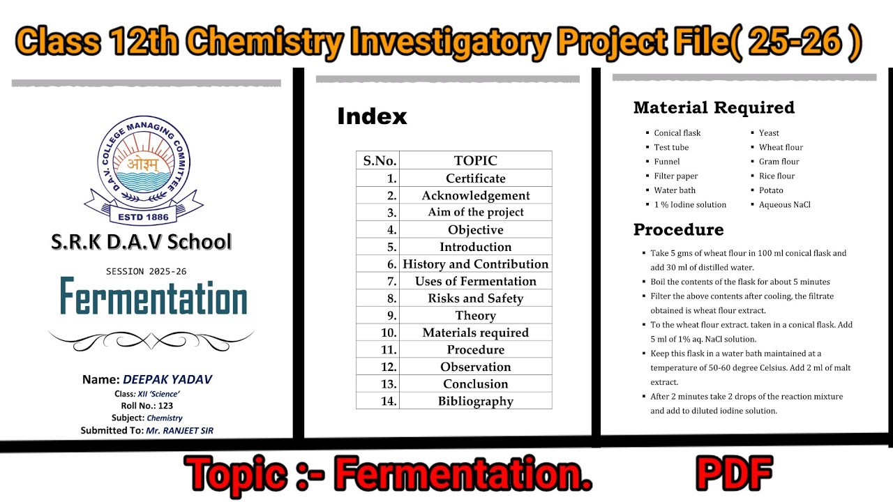 Class 12 Chemistry Investigatory Project 2025–26 | Fermentation | With ...