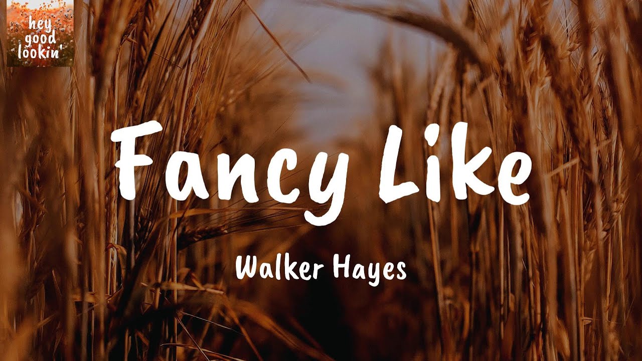 Fancy Like - Walker Hayes (Lyrics) - YouTube