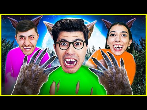 KURT ADAM MACERASI MERT SARI