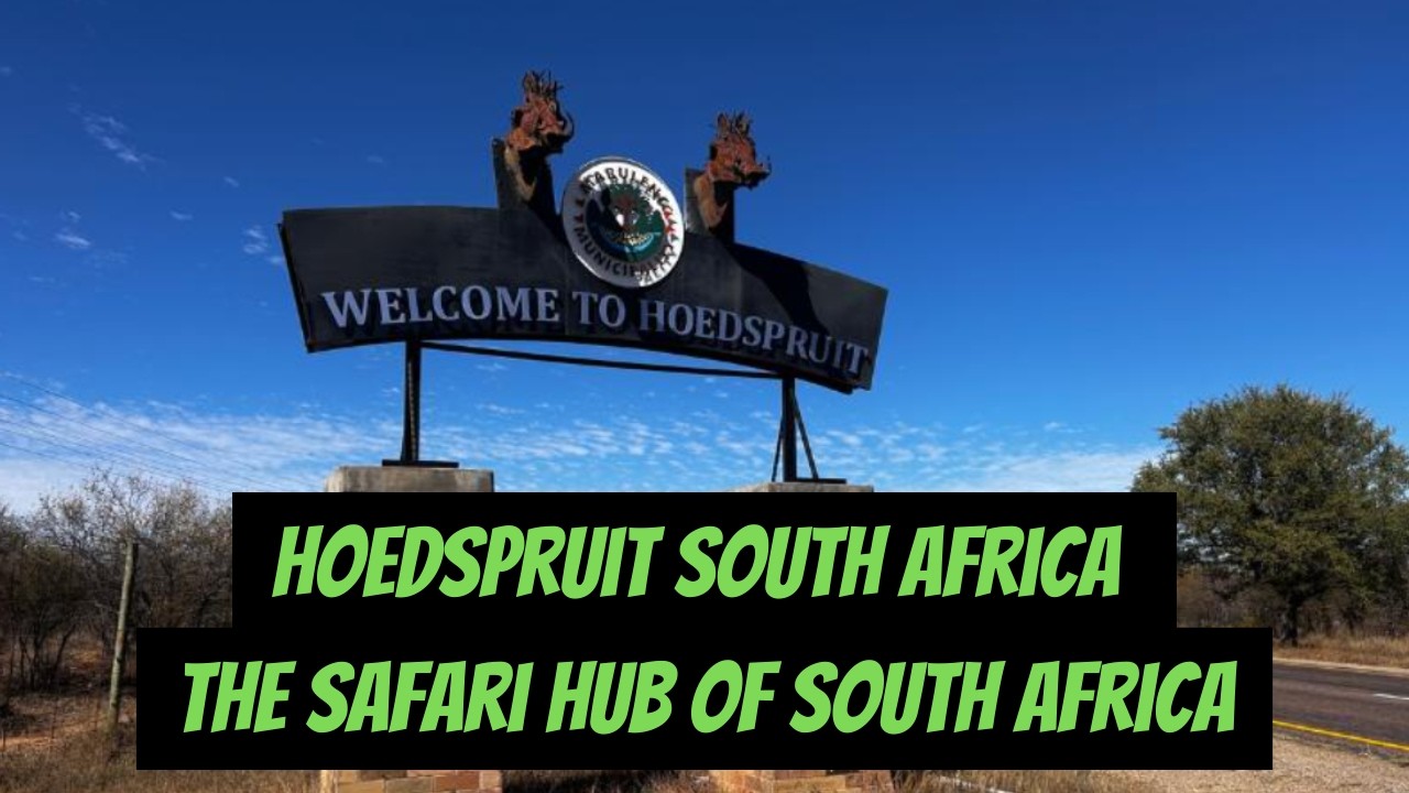 Hoedspruit South Africa - The Safari Hub of South Africa - YouTube