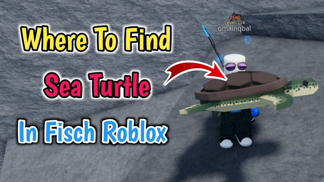 Where To Find Sea Turtle In Fisch Roblox | Sea Turtle Location - YouTube