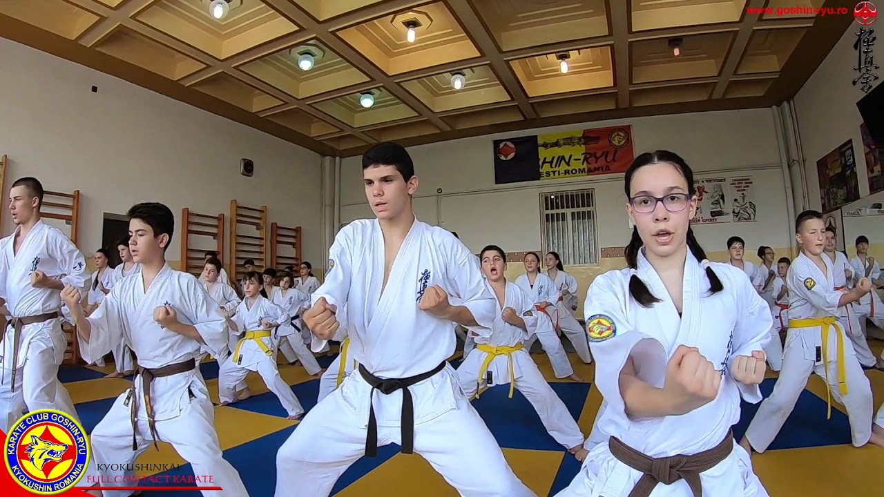 C.S.Goshin-RYU 12.05.2018 - YouTube