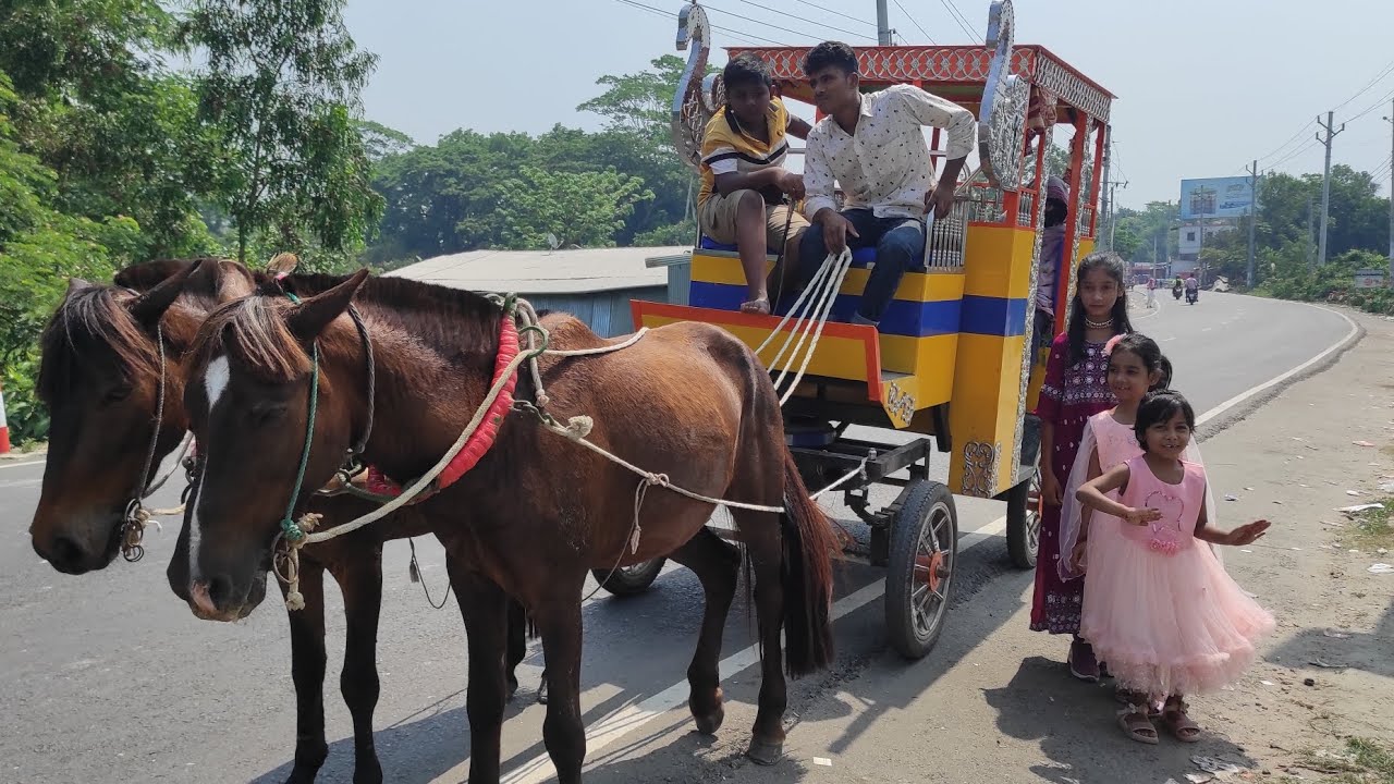 Hafsa maliha Ghorar Gari | হাফসা মালিহা ঘোড়ার গাড়ি। Horse Carriage ...