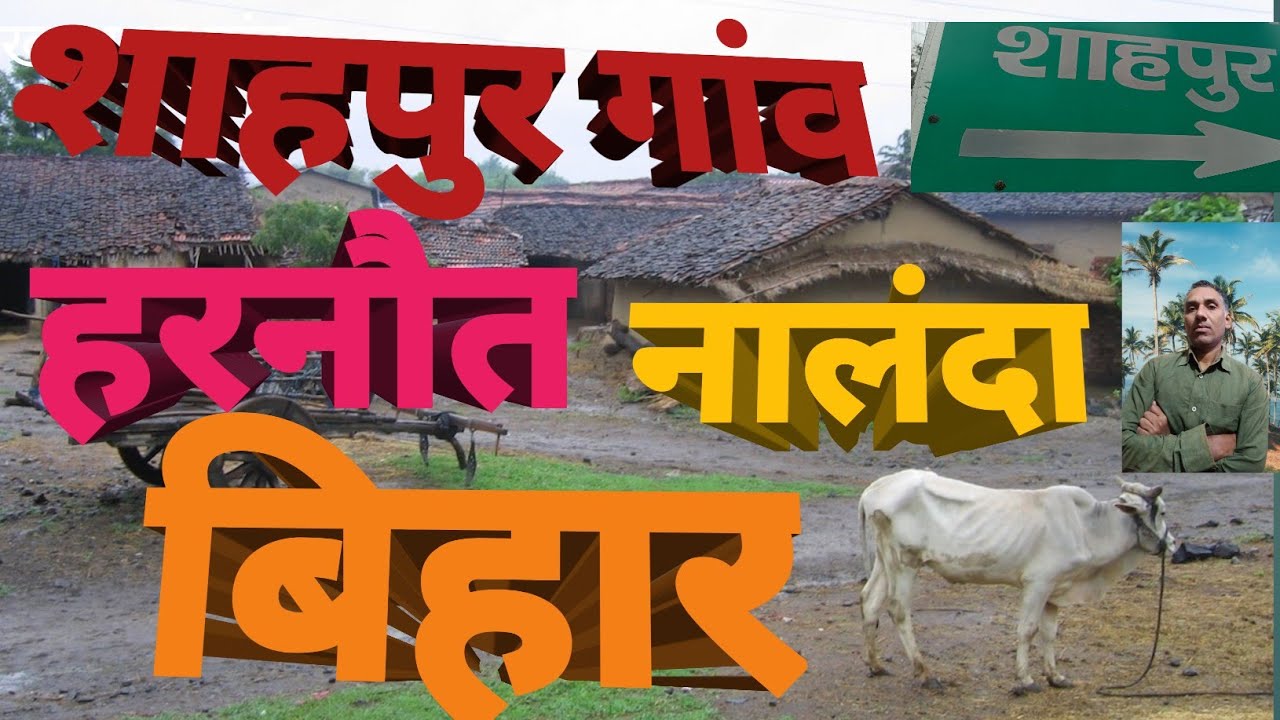 शाहपुर गांव, हरनौत, नालंदा, बिहार। shahpur gaav harnaut, nalanda,bihar ...