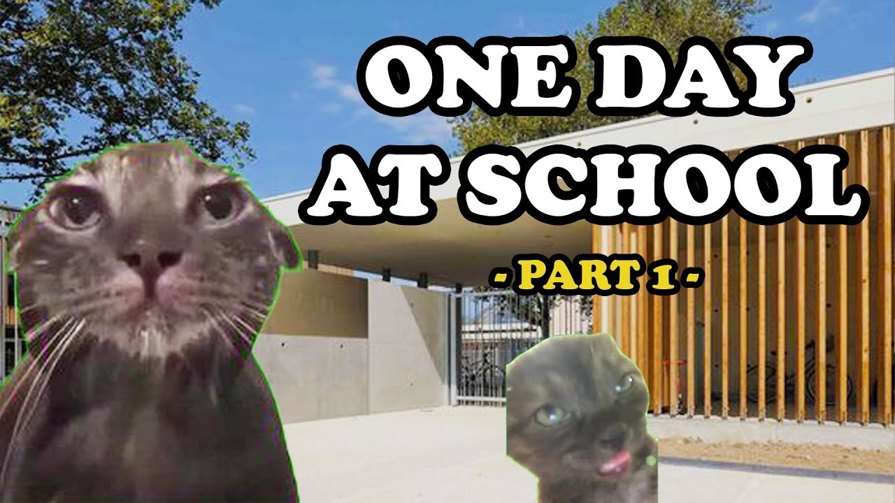 ONE DAY AT SCHOOL PART 1 - Cat memes #cat #catmemes #trending - YouTube