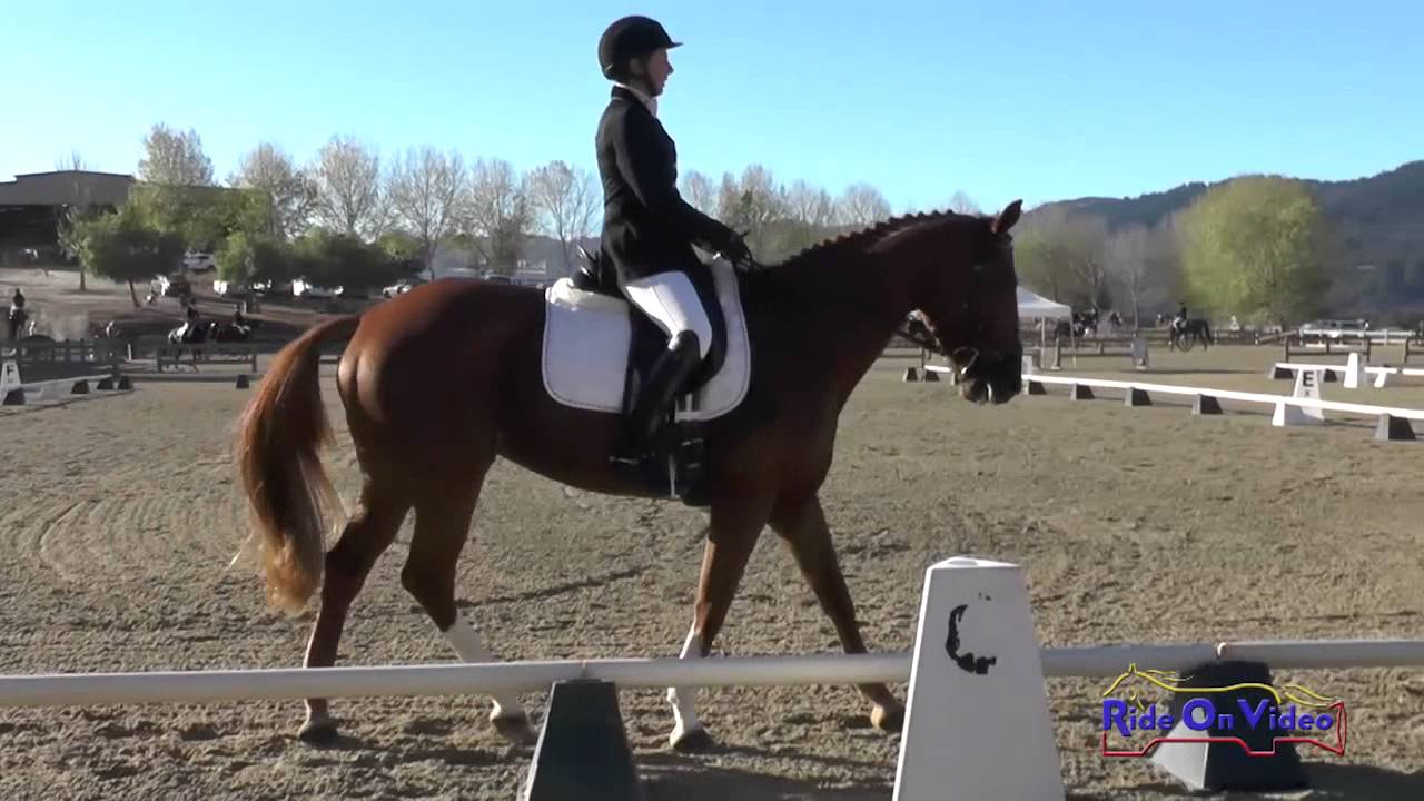 118D Dawn Robbins on Kleary's Foolish Heart Preliminary Rider Dressage ...