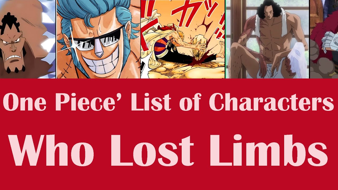 One Piece List of Characters Who Lost body parts - YouTube