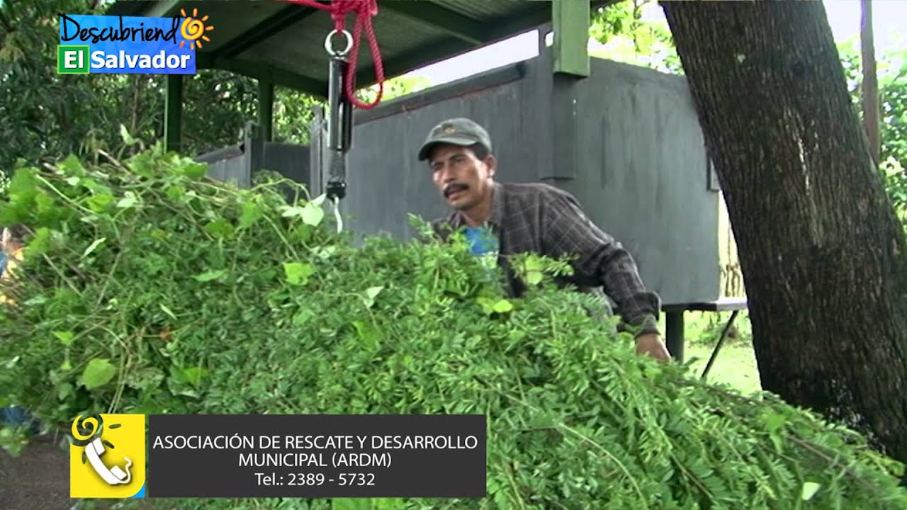 BOSQUE DE CINQUERA/ CABAÑAS - YouTube