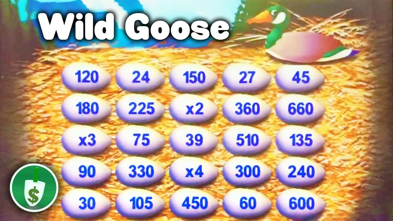 Wild Goose slot machine, bonus - YouTube