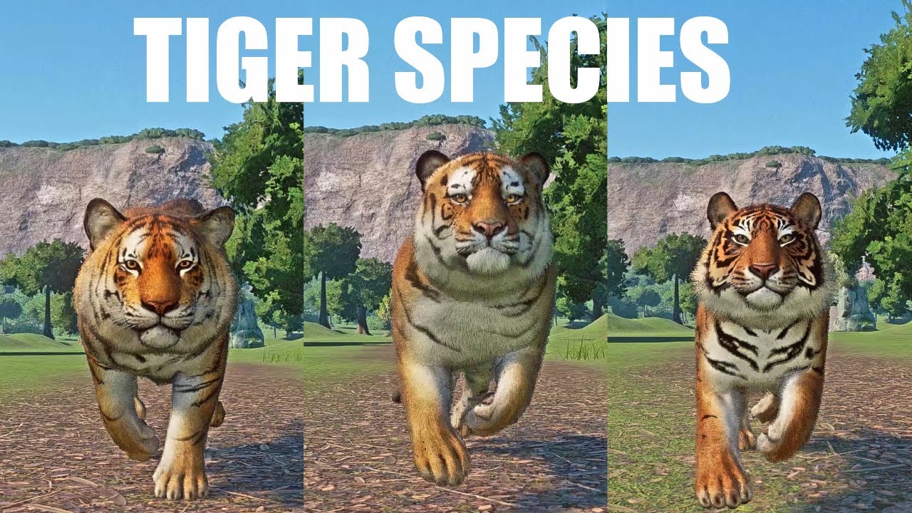 Tiger Species Speed Races in Planet Zoo in 4K UHD included Sumatran ...