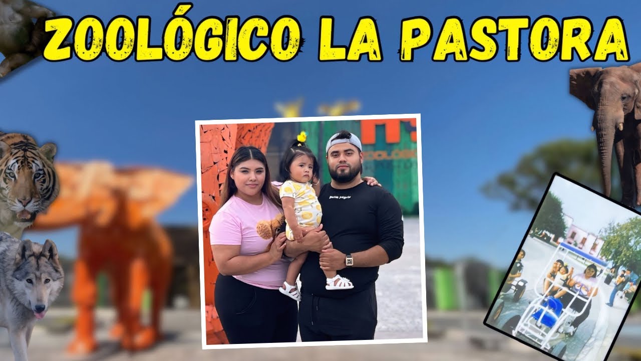 ZOOLÓGICO LA PASTORA EN MONTERREY🏞️🐘🦒🐅 - YouTube