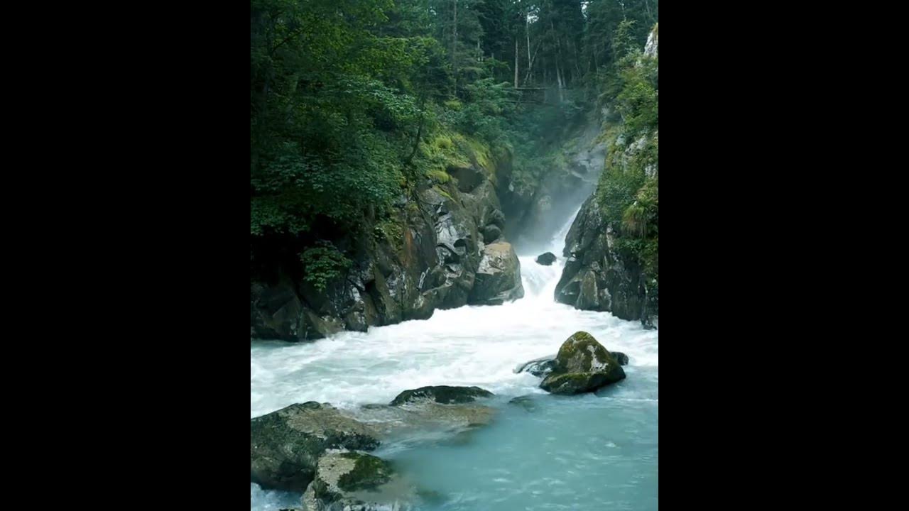 vangada vanga@alltimewishes1904 - YouTube