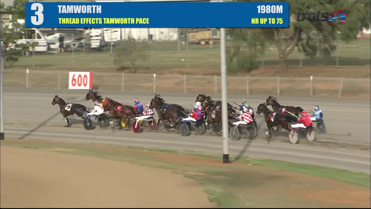 TAMWORTH - 23/01/2020 - Race 3 - THREAD EFFECTS TAMWORTH PACE - YouTube