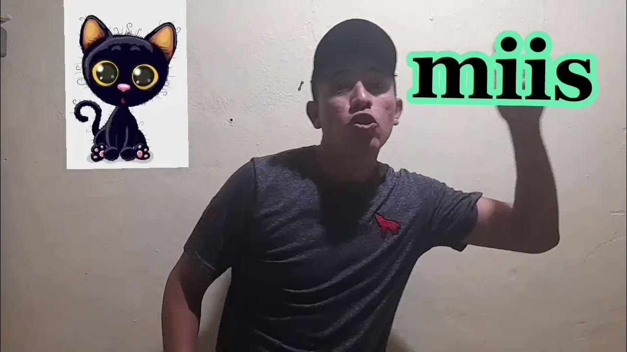 Cancion en Maya (para aprender facil y divertido) - YouTube