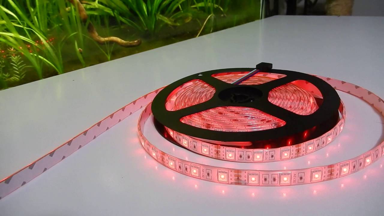 Controlling LED's using Robo-Tank DIY Aquarium Controller - YouTube