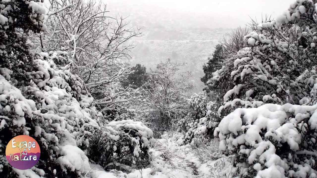 Snow falling & relaxing music for stress relief and calm - YouTube