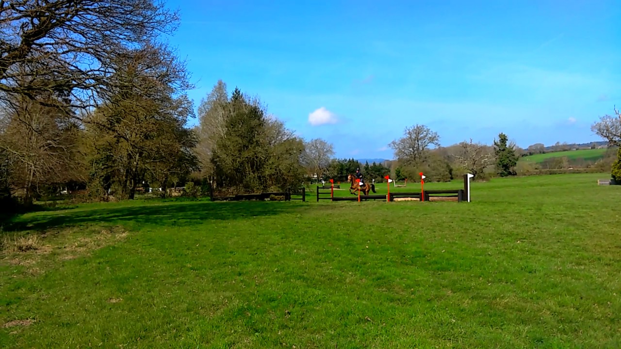 Becky & Badger Fair Oak Cross Country April 2017 - YouTube