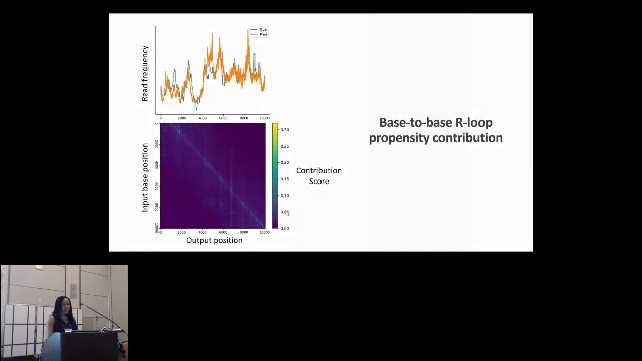 DNA sequence is the primary determinant of R-loop formation... - Lacey Walker - RSG - RSGDREAM ...