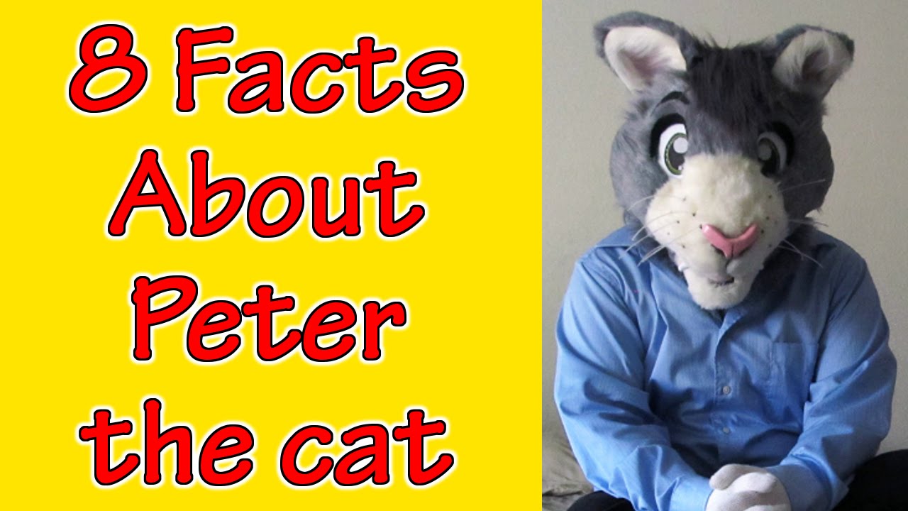 8 Facts About Peter the Cat - YouTube